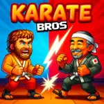 Karate Bros - Play Online for Free on AntGames